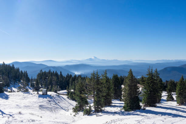 Free timberline stock photos. Download the best free timberline images ...