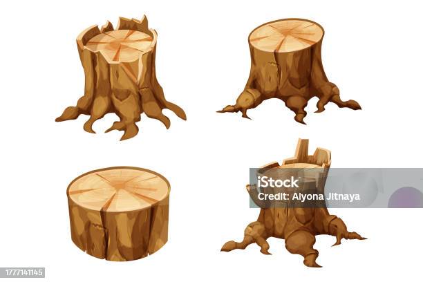 Set Forest Wooden Stump Tree Trunk With Roots Cut Section In Cartoon