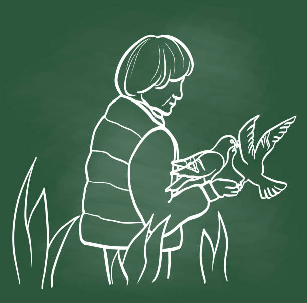 40+ Old Woman Feeding Birds Stock Illustrations, Royalty-Free Vector ... 40+ Old Woman Feeding Birds Stock Illustrations, Royalty-Free Vector ...