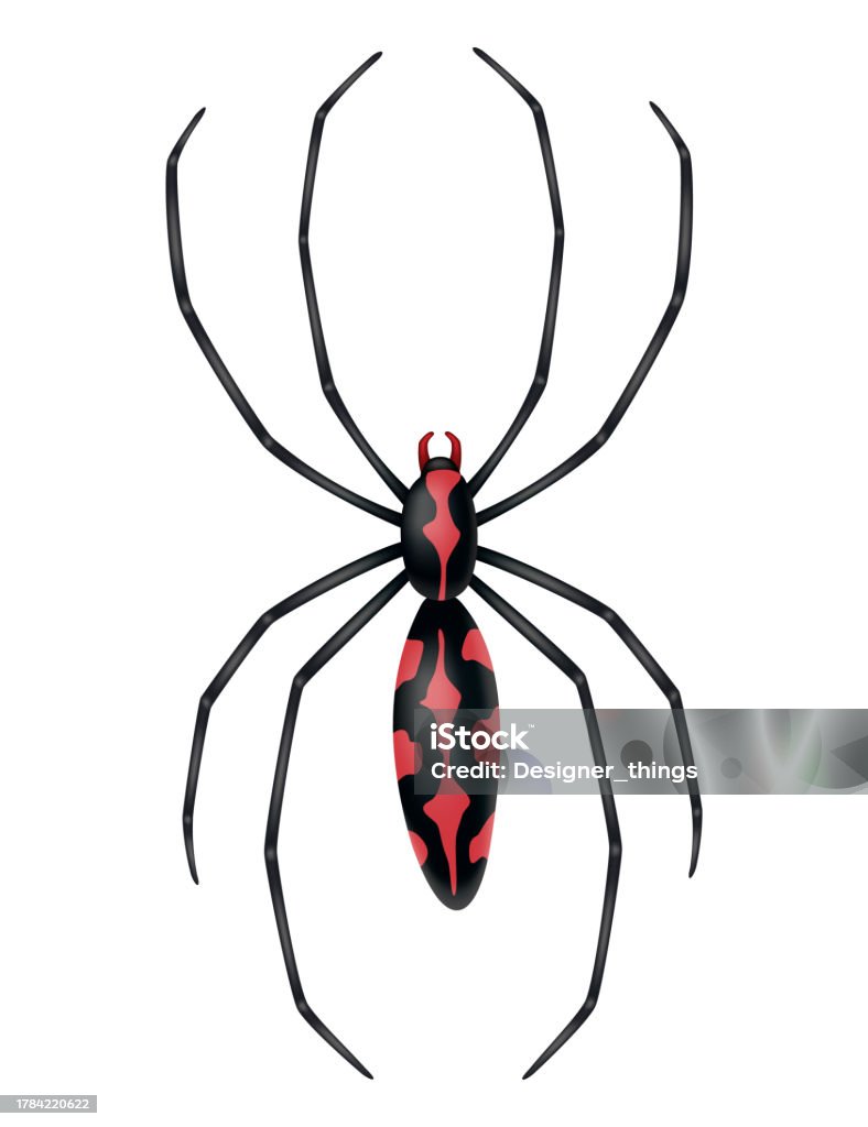 Spider Dangerous Wild Insect Symbol Spooky Scary Horror Design Element Use For Printing Banner