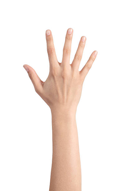 Hand On Back Pictures | Download Free Images on Unsplash