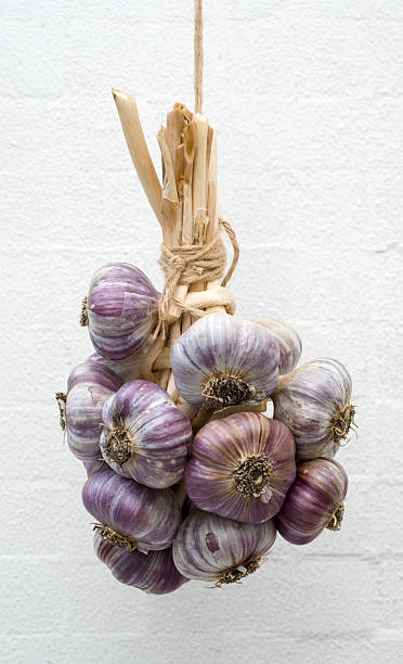 Free Stock Photo of Bunch of Garlic Hanging From a Rope | Download Free ...