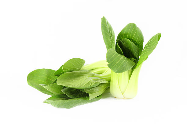 40+ Free Boc Choy & Bok Choy Photos - Pixabay