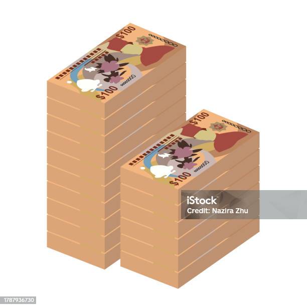 Brunei Dollar Vector Illustration Brunei Money Set Bundle Banknotes