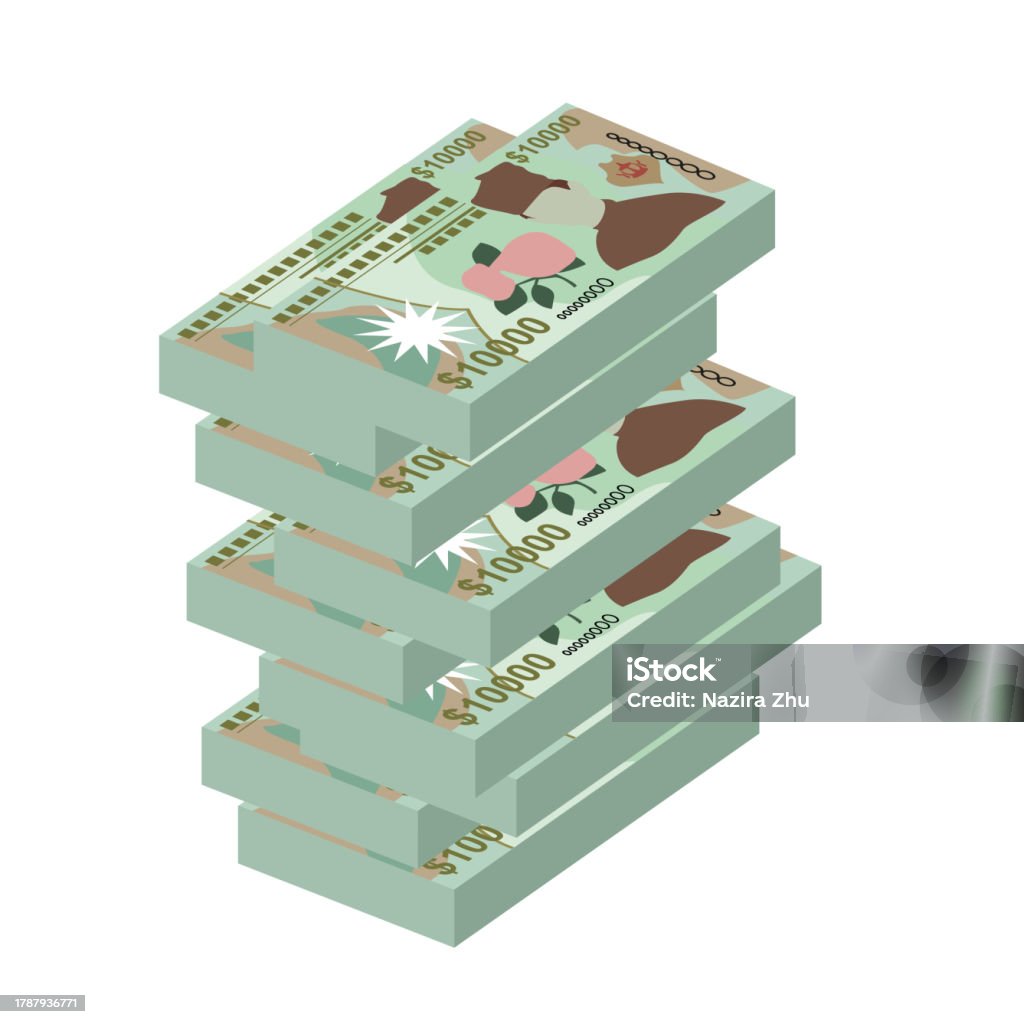 Brunei Dollar Vector Illustration Brunei Money Set Bundle Banknotes Paper Money 10000 Bnd Flat