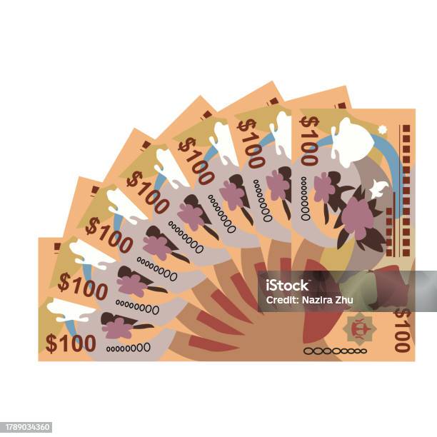 Brunei Dollar Vector Illustration Brunei Money Set Bundle Banknotes