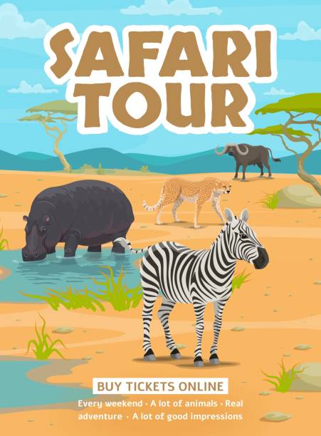 Free Safari Vector Art - Download 280+ Safari Icons & Graphics - Pixabay