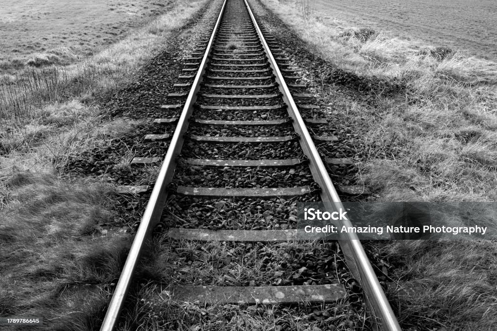 Pemandangan Rel Kereta Api Hitam Putih Foto Stok - Unduh Gambar ... Pemandangan Rel Kereta Api Hitam Putih Foto Stok - Unduh Gambar ...