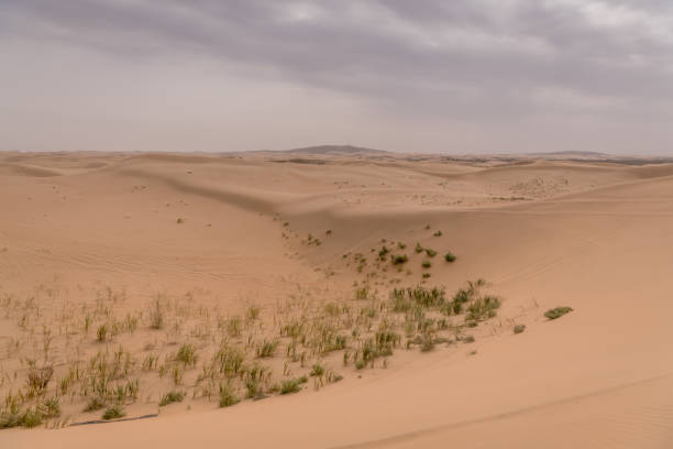 Free picture: Landscape of the world’s driest desert the Atacama Desert ...