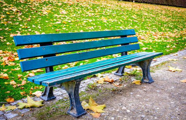 Free Stock Photo of A row of benches on a sidewalk with leaves on the ...