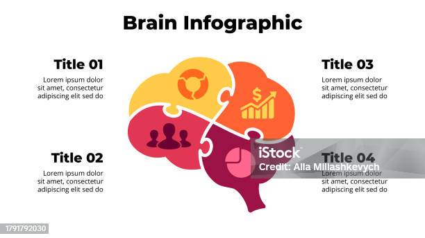 Infographie Sur Lanatomie Du Cerveau De Puzzle Illustration De La