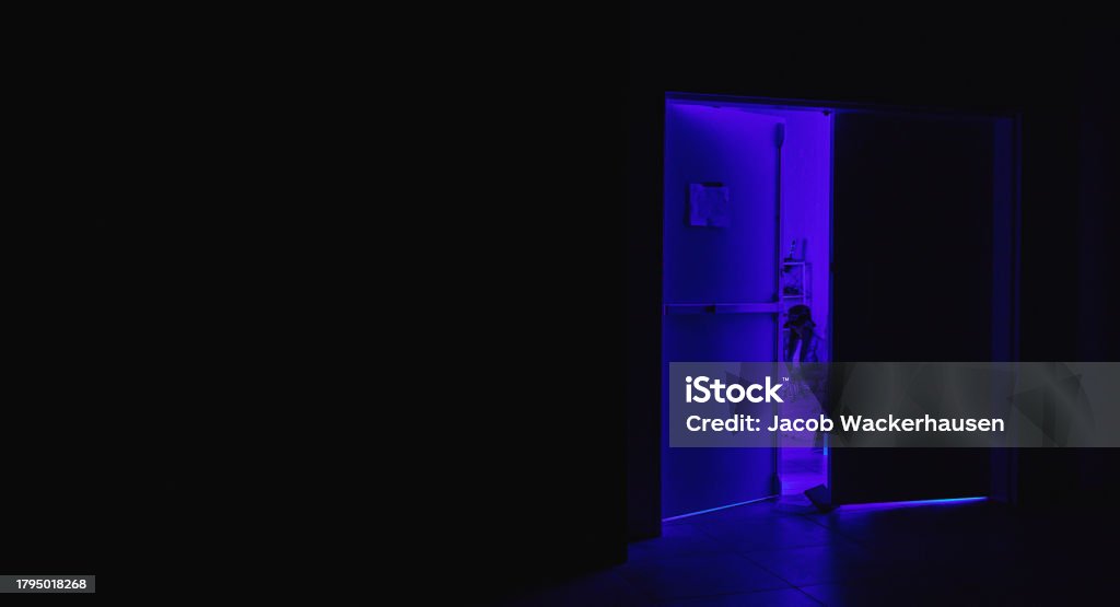 Hacker Hide Or Neon In Night Coding Web 30 Programming Or Phishing Software Mock Up In Off Grid