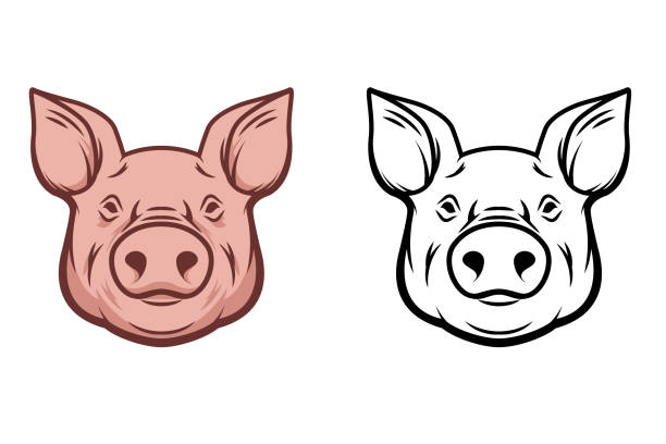 Over 300 Free Pig Vectors - Pixabay - Pixabay