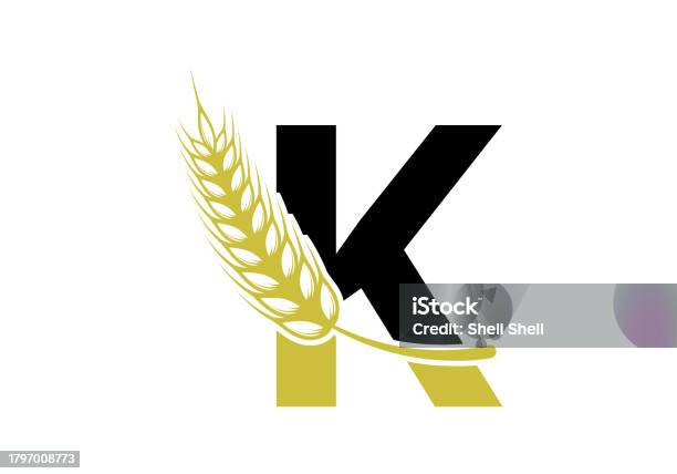 Symbole De Signe De Lettre K Avec Couronne Dépis De Blé Logo De
