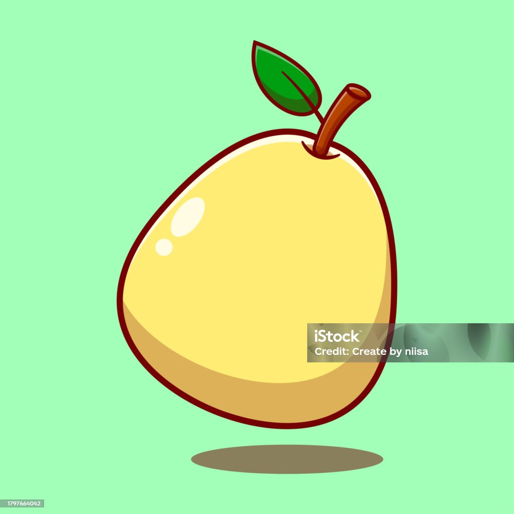 Pir Kuning Ilustrasi Vektor Kartun Buah Pir Putih Asia Ilustrasi Stok Unduh Gambar Sekarang