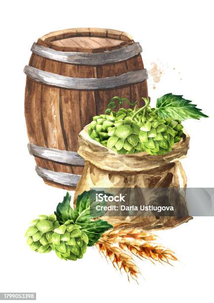 Tong Kayu Dengan Bir Dan Hop Hijau Segar Dan Telinga Gandum Dan Jelai ... Tong Kayu Dengan Bir Dan Hop Hijau Segar Dan Telinga Gandum Dan Jelai ...