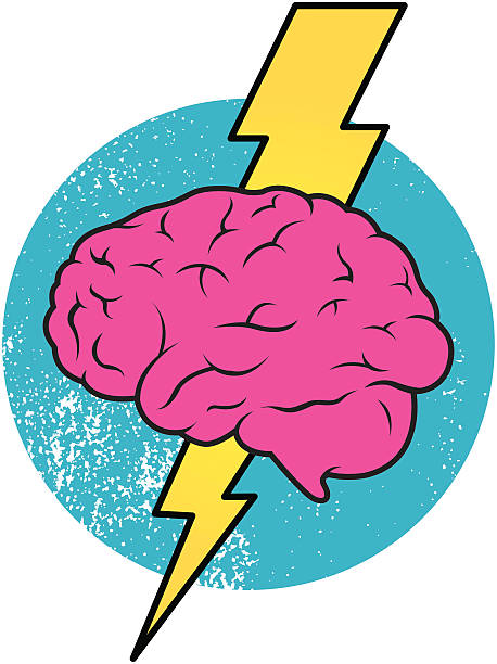120 Insula Brain Stock Illustrations Royalty Free Vector Graphics And Clip Art Istock