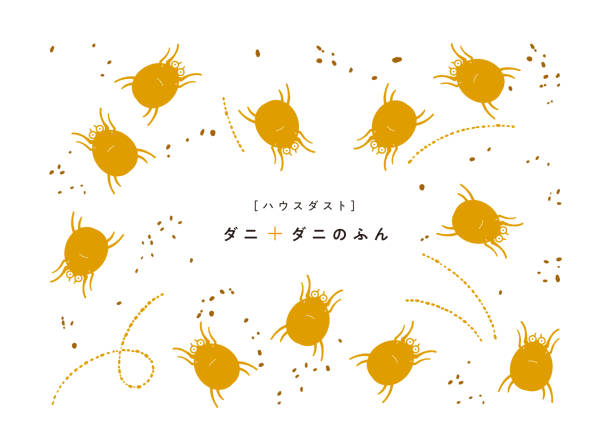 200 Dust Mite Illustration Stock Illustrations Royalty Free Vector Graphics And Clip Art Istock