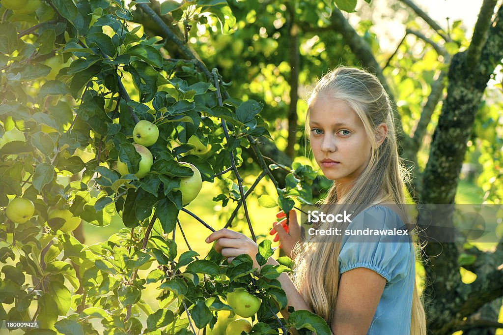 Outdoor Portrait Of Beautiful Blonde Girl Posing Near Apple Tree Stock