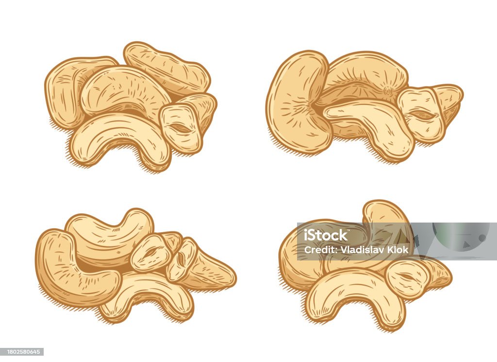 Vector Cashew Nuts Illustrations Stock Illustration - Download Image ... Vector Cashew Nuts Illustrations Stock Illustration - Download Image ...
