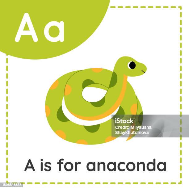 Apprendre Lalphabet Anglais Pour Les Enfants Lettre A Anaconda De