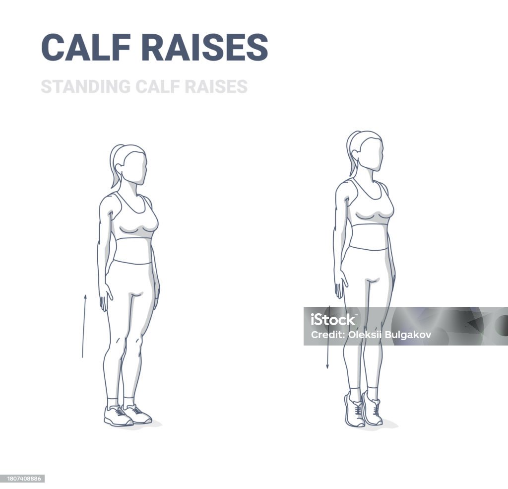 Calf Raises Woman Exercise Guidance Stock Illustration Download Image Now Active Lifestyle