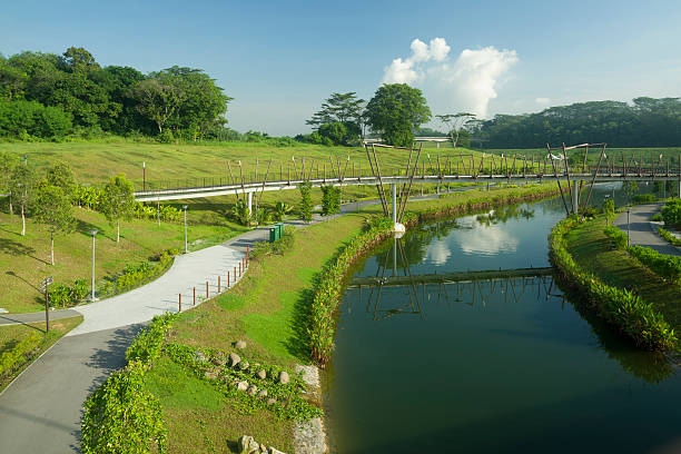 Singapore Park Pictures | Download Free Images on Unsplash