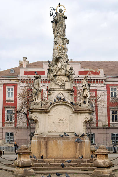 Timisoara Pictures | Download Free Images on Unsplash