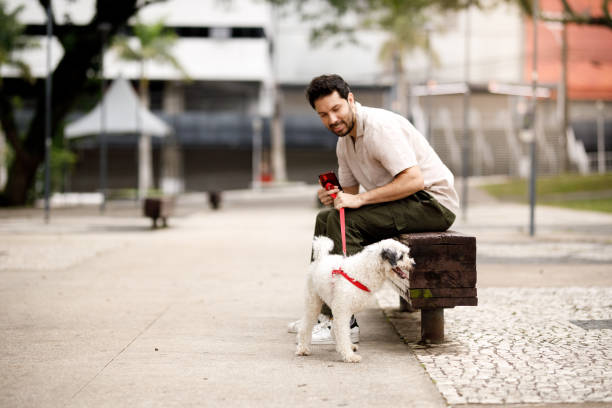 Free Stock Photo of Person Sitting on Bench With Dog | Download Free ...