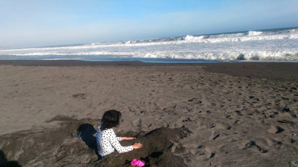Free Stock Photo of Girl playing on inflatable goose at the beach ...