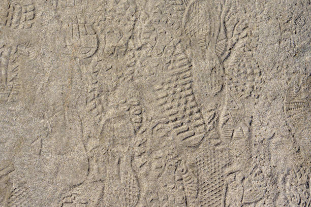 Free picture: Footsteps on grey sand surface close-up texture