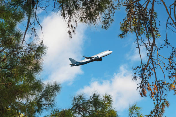 Free Stock Photo of Plane Flying Over Forest Filled With Trees ...