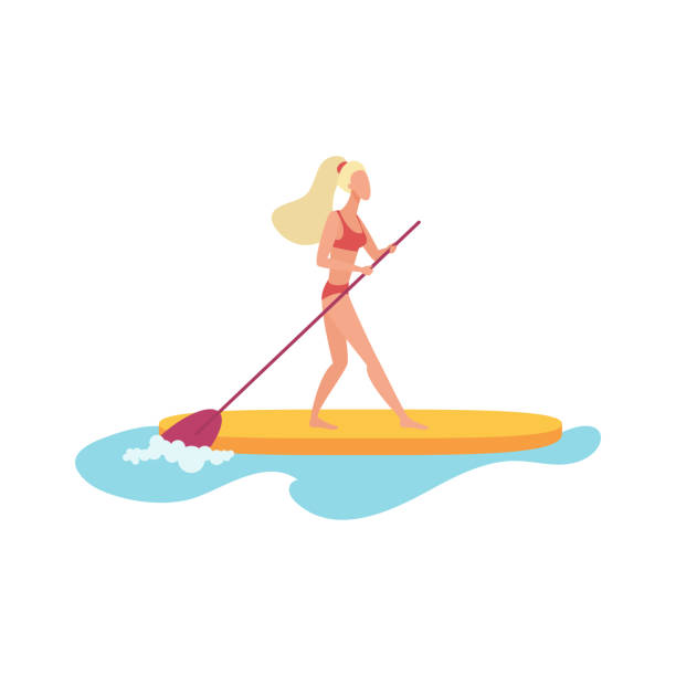 170 Paddle Board Clip Art Stock Illustrations Royalty Free Vector