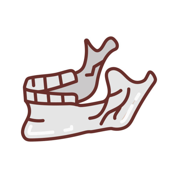 50+ Tmj Stock Illustrations, Royalty-Free Vector Graphics & Clip Art ... 50+ Tmj Stock Illustrations, Royalty-Free Vector Graphics & Clip Art ...