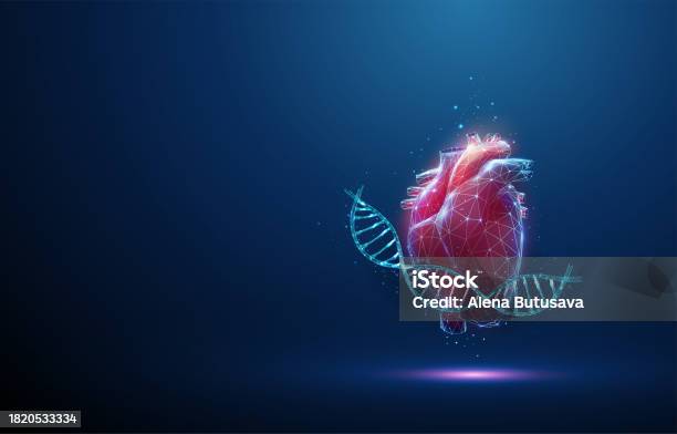 Hélice De Molécule Dadn Bleu Avec Cœur Humain Rouge Maladies Cardiaques