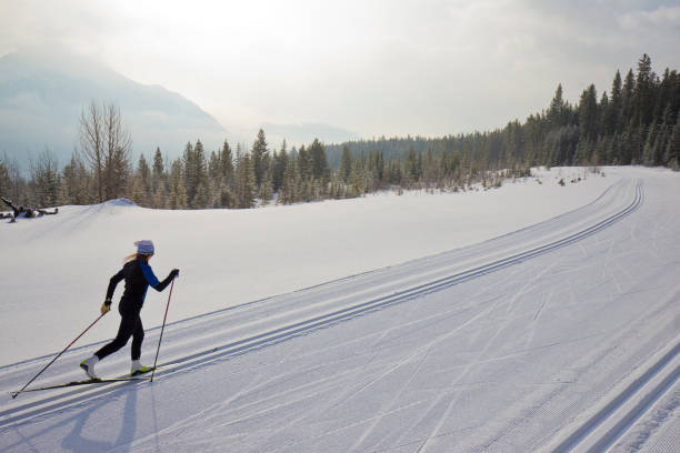 400+ Free Cross-Country & Nature Images - Pixabay