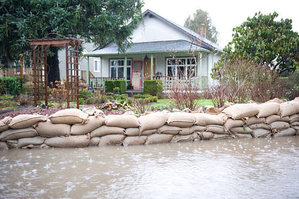 House Flood Pictures | Download Free Images on Unsplash