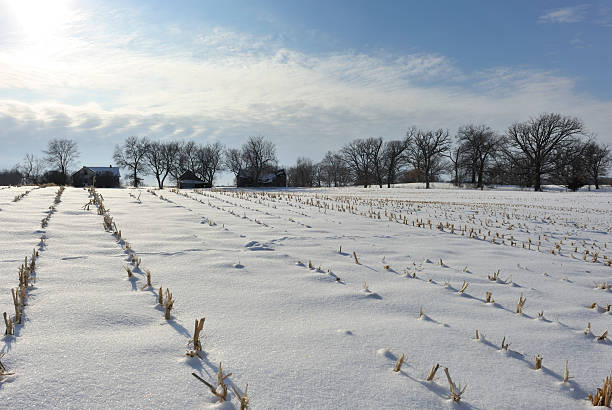 Free picture: winter, sunset, farmland, farmhouse, barn, dawn, tree ...