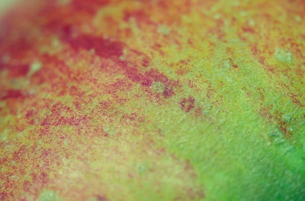 Derma Pictures | Download Free Images on Unsplash