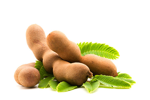 Tamarind Pictures | Download Free Images on Unsplash