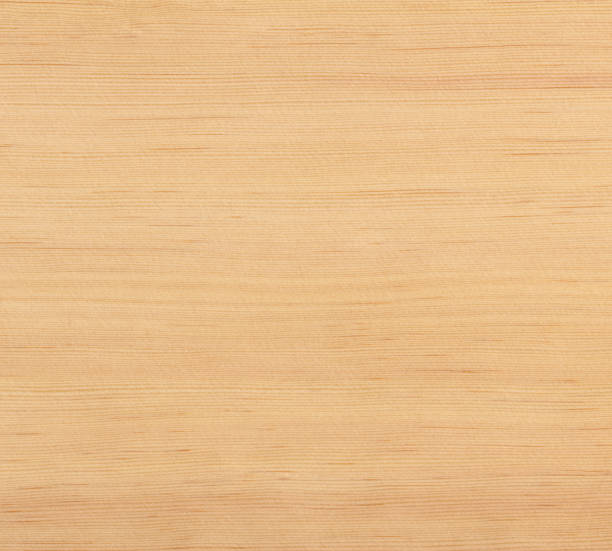 Douglas Fir Pictures | Download Free Images on Unsplash