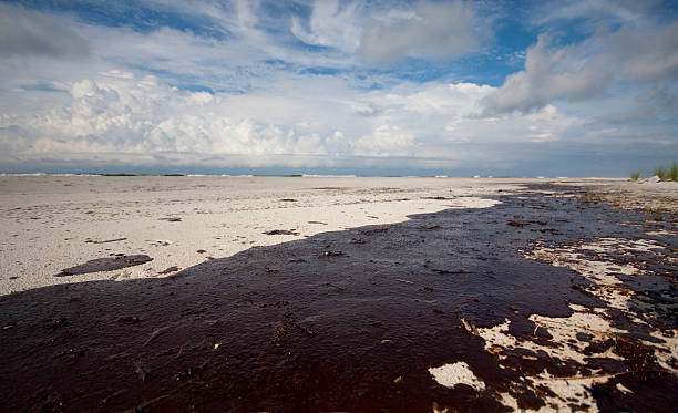 Oil Spill Pictures | Download Free Images on Unsplash