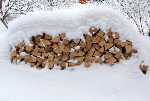 Free Stock Photo of Pile of Logs on Snow Covered Ground | Download Free ...