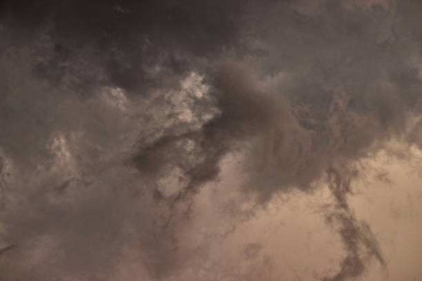 Free shadowy stock photos. Download the best free shadowy images at ...