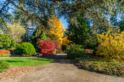 Kubota Autumn Path 5 Stock Photo - Download Image Now - Autumn, Change ... Kubota Autumn Path 5 Stock Photo - Download Image Now - Autumn, Change ...
