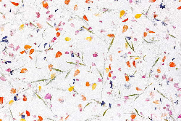 Best 100+ Flower Texture Pictures | Download Free Images on Unsplash