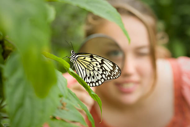 1 500 Mariposa Cometa De Papel Fotos Fotografías De Stock Fotos E
