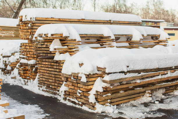 Free Stock Photo of Snow-Covered Pile of Wood | Download Free Images ...