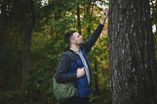Free Stock Photo of Man Holding Picture of Trees in Woods | Download ...