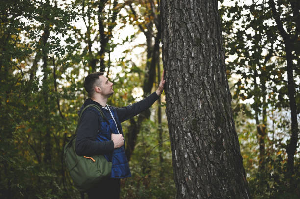 Free Stock Photo of Man Standing Beside Tall Tree | Download Free ...